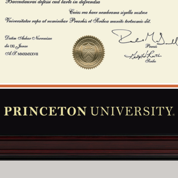 Princeton University Diploma Frame