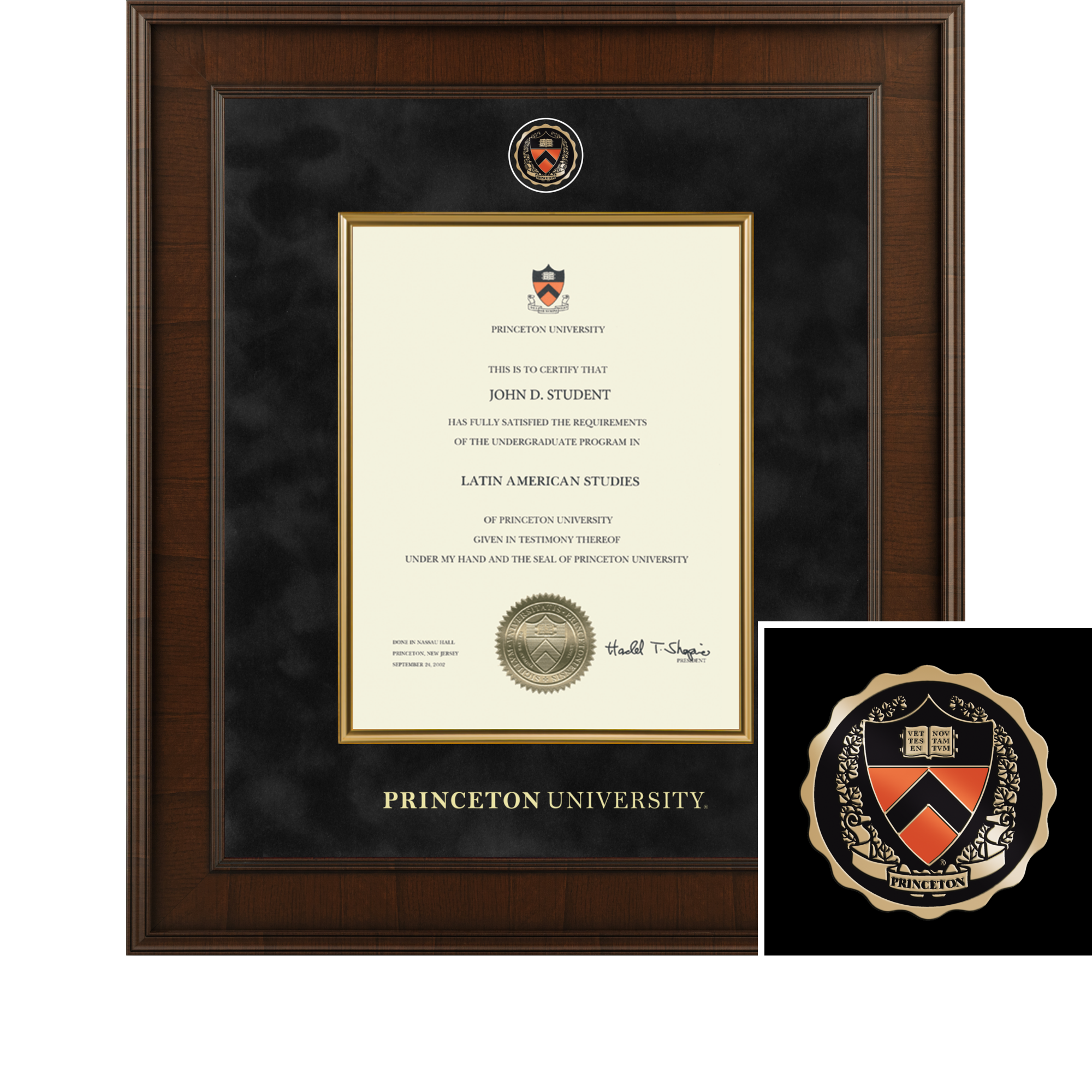 Princeton University Diploma Frame