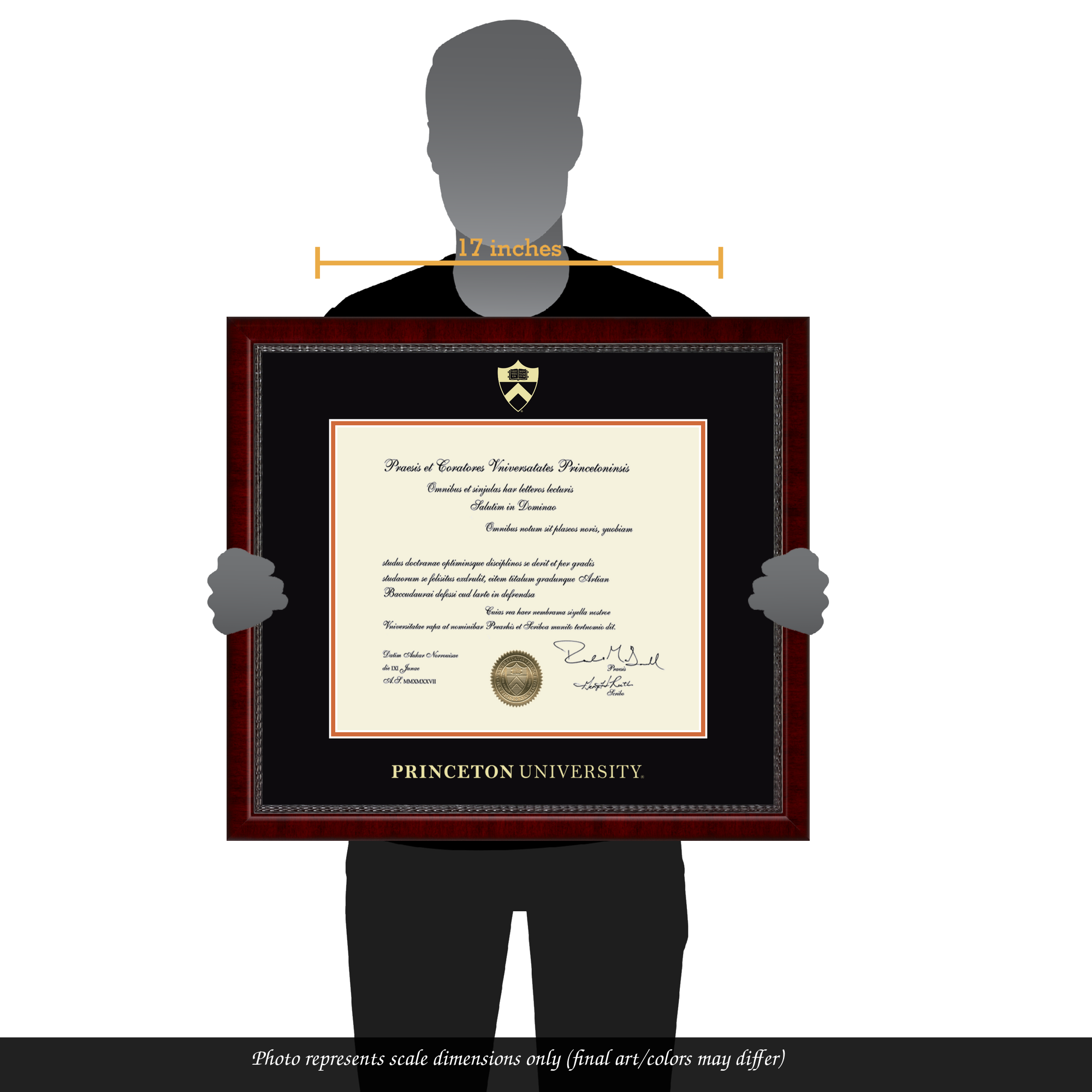 Princeton University Diploma Frame