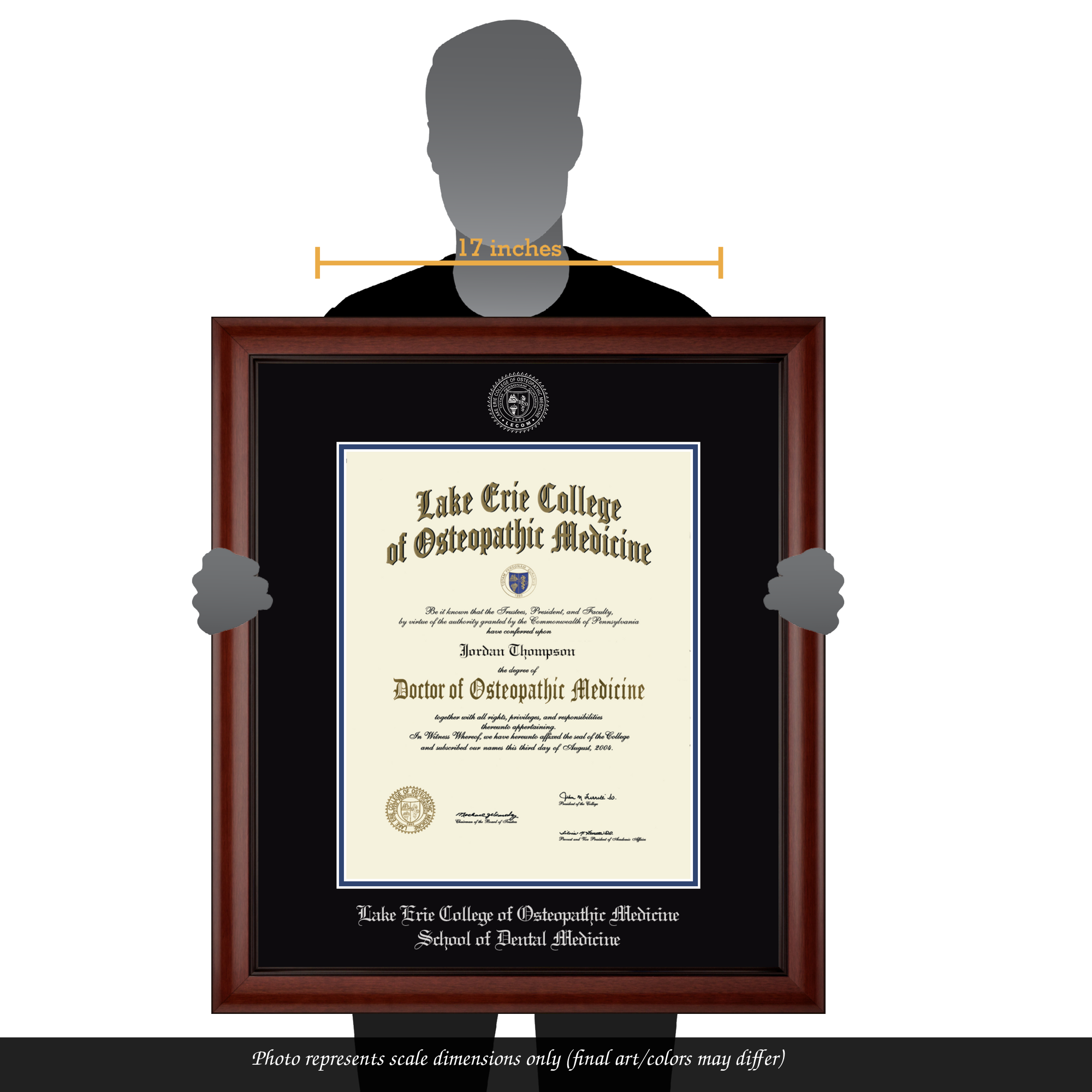 Doctor Diploma Frame
