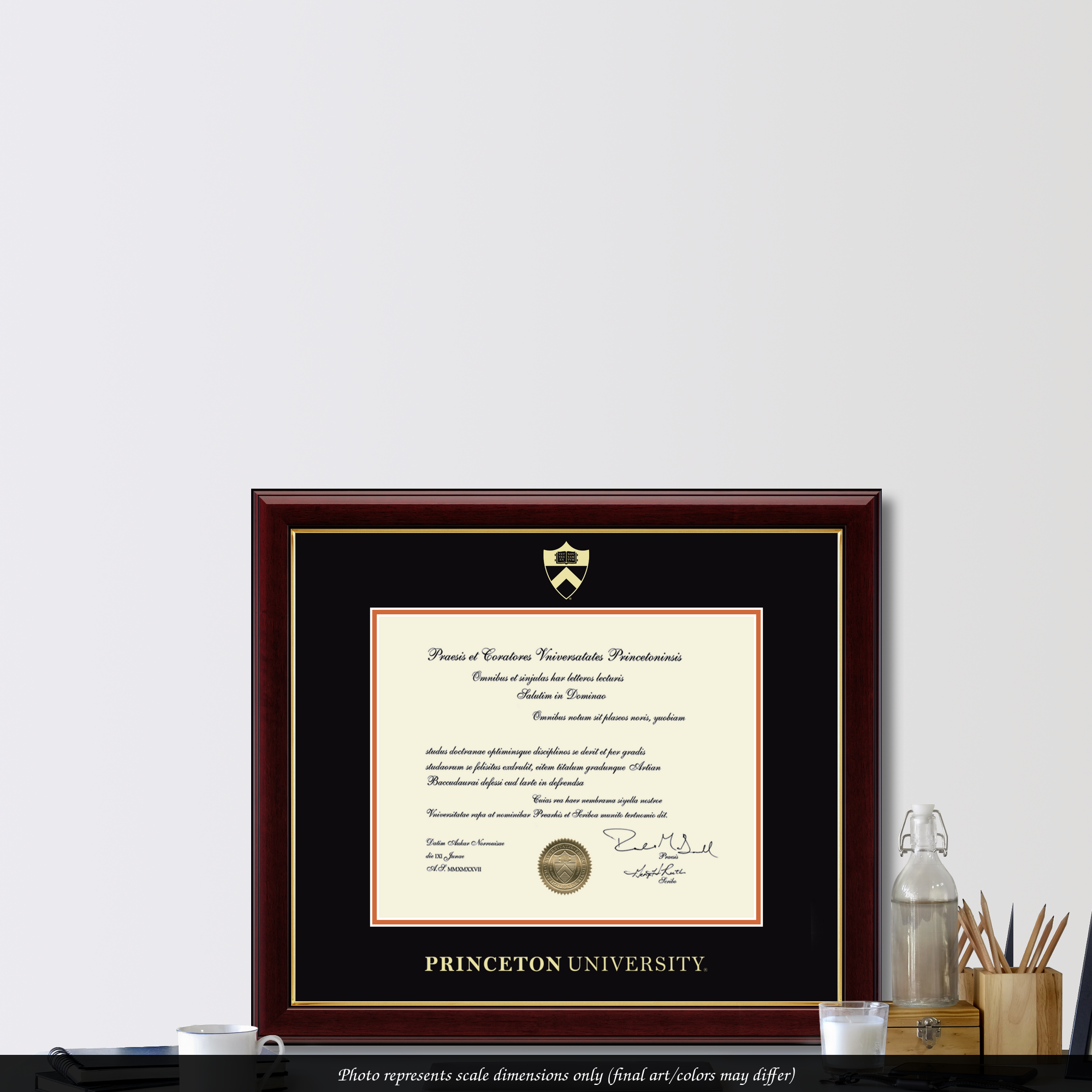 Princeton University Diploma Frame